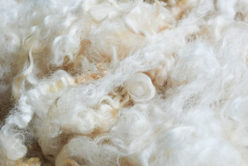 Wensleydale X Cotswold Fleece - Loose Wool Fibre for Spinning and Felting